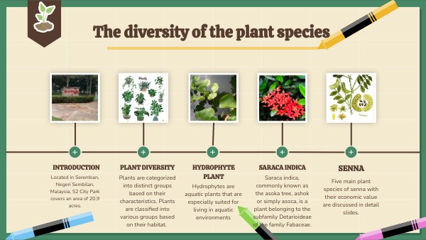 PLANT DIVERSITY