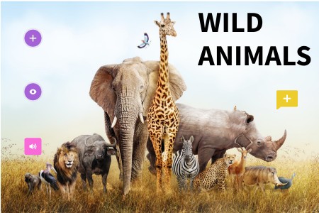 Wild Animals | Genially