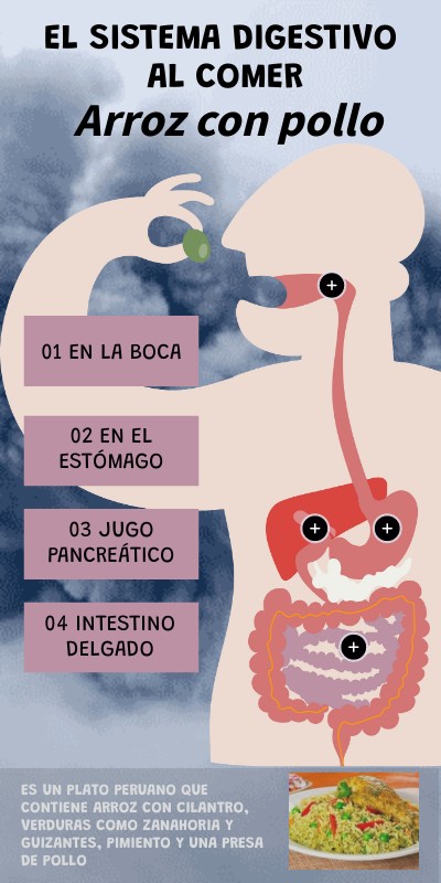 Infografía de la digestión