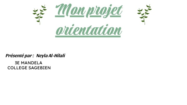 projet d'orientation