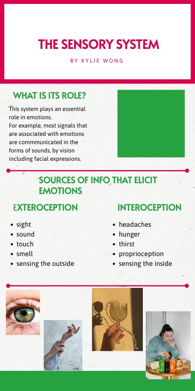 NSC4382 WEEK 6 | Genially