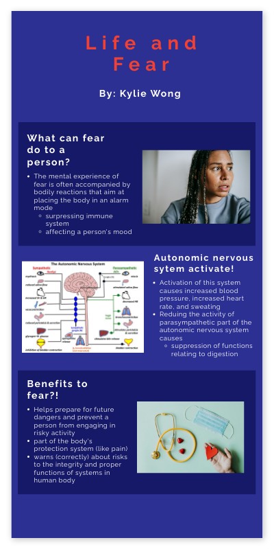 STEM INFO | Genially