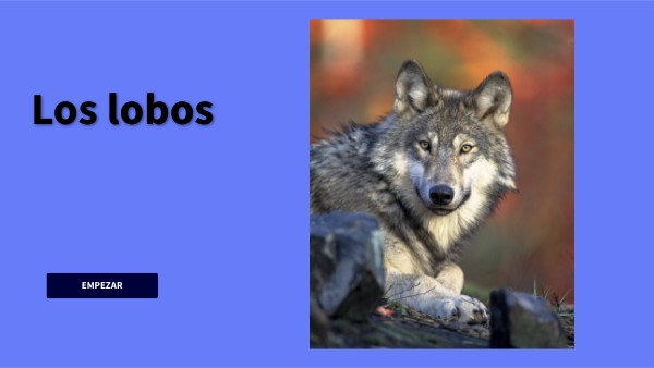 Los lobos | Genially