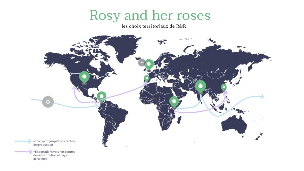 carte de la DIT de "Rosy and her Roses" (lucile, roxane, maelle)