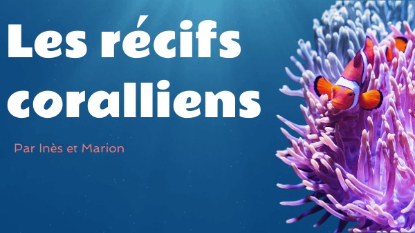 Les récifs coralliens