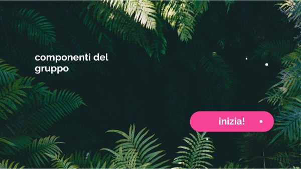 gruppo marco | Genially