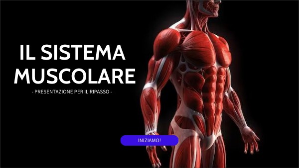IL SISTEMA MUSCOLARE