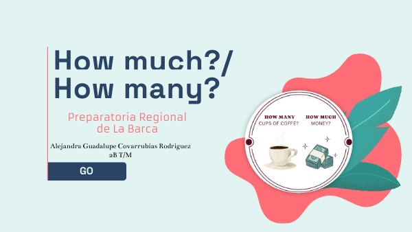 How much?/How many?
