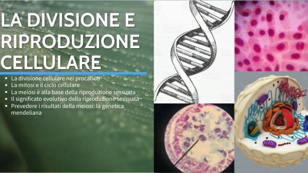 riproduzione cellulare | Genially