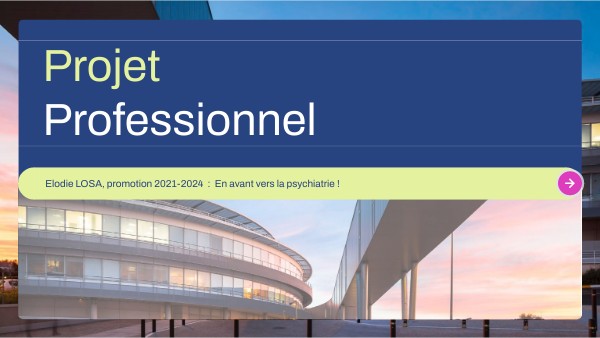 Présentation Projet professionnel partiel S5 | Genially