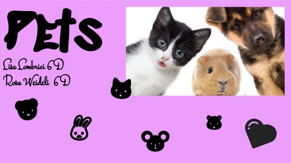 Pets