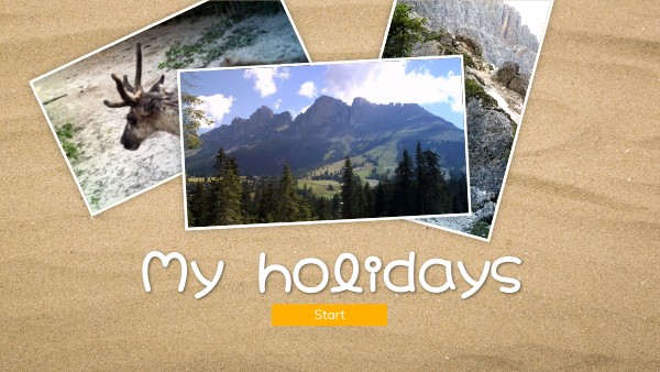 HOLIDAYS PRESENTATION