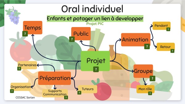 Projet pic | Genially