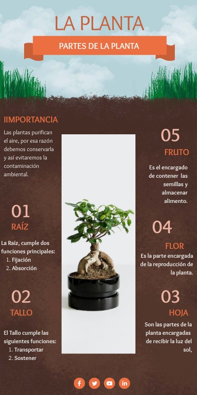 LAS PLANTAS | Genially