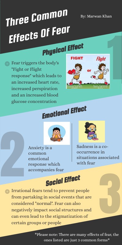 NSC4382 WEEK1.Three Common Effects of Fear.Marwan Khan.