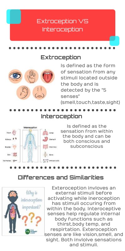 NSC4382 WEEK5. Extroceptions VS Interoception. Marwan Khan