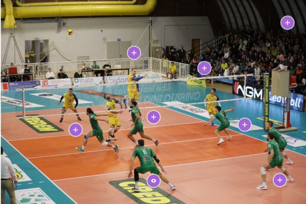 i ruoli nella pallavolo | Genially