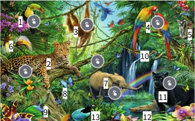 Rainforest | Genially