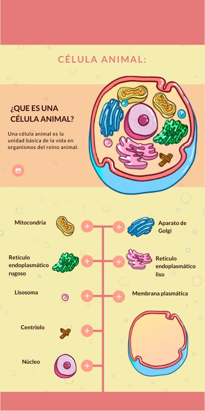 Celulas ... | Genially