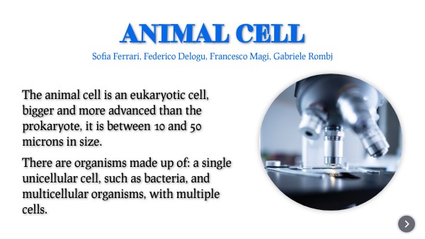 Presentazione cellula animale