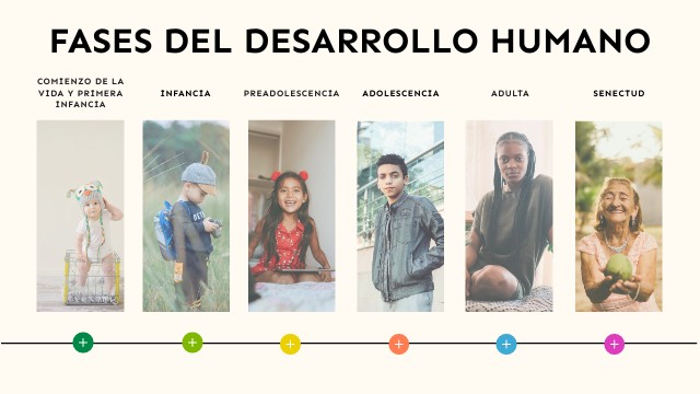 Fases Desarrollo Humano | Genially