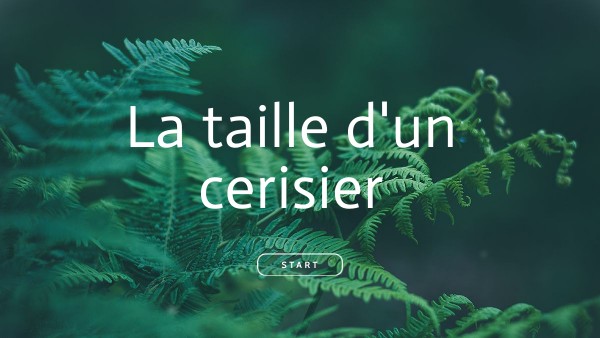 La Taille d'un cerisier | Genially