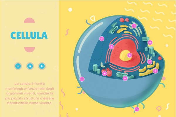 Cellula eucariotica | Genially