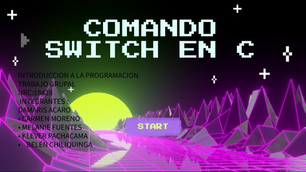 EXPOSICION COMANDO SWITCH