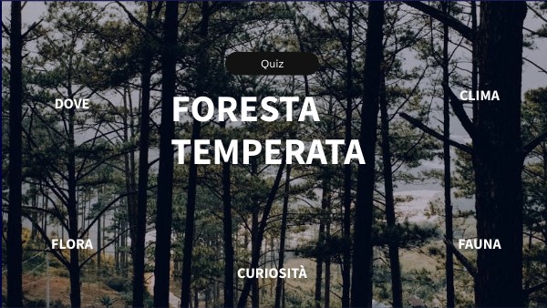 Foresta di latifoglie ( o temperata ). | Genially