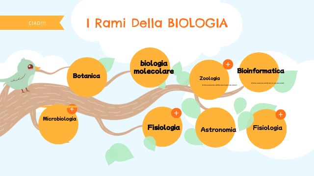 BRANCH LIST | Genially