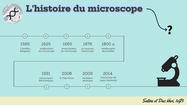 ILLUSTRATED CORPORATE TIMELINE | Genially