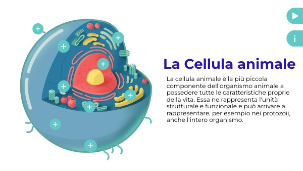 Cellula_Poster interattivo | Genially