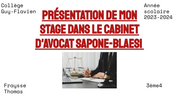 Présentation de mon stage | Genially