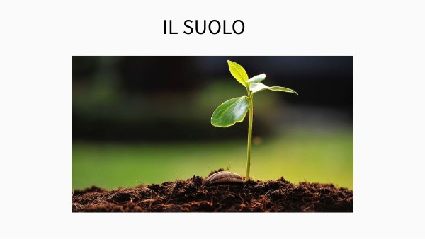 IL SUOLO | Genially
