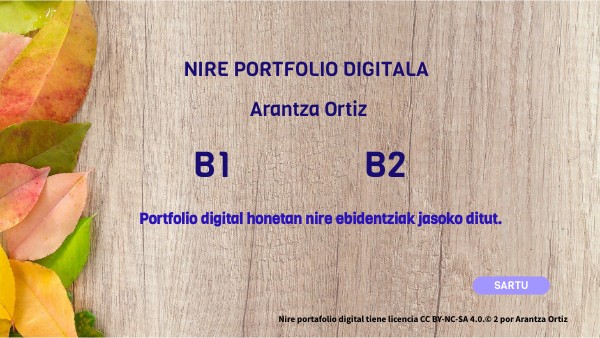 NIRE PORTFOLIO DIGITALA B1 - B2