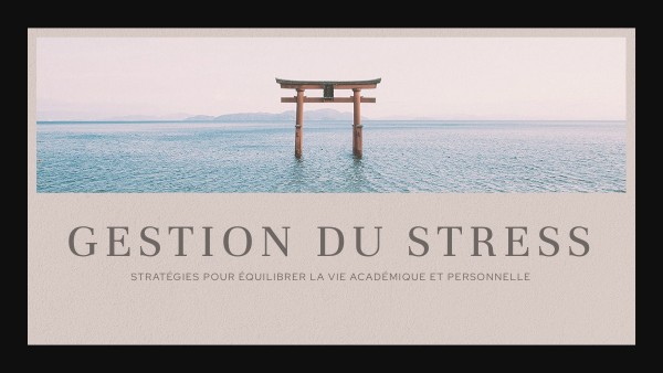 C1-Gestion du Stress