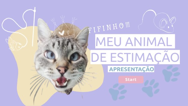 KITTENS PRESENTATION