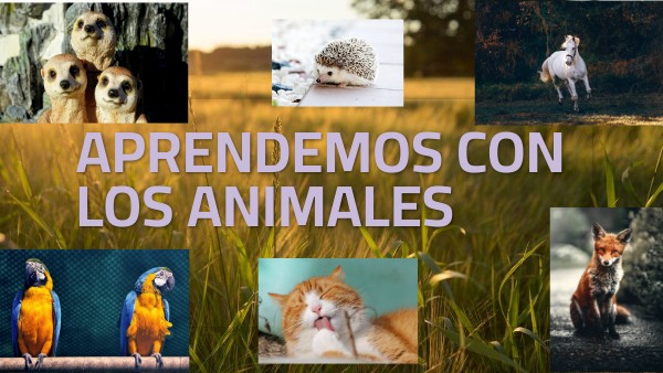 PRESENTACIÓN ANIMALES | Genially
