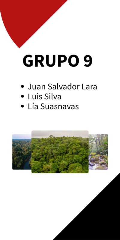 INFOGRAFÍA GRUPO 9 | Genially