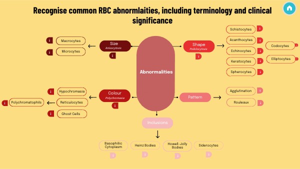 RBC flowchart