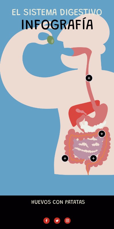 INFO VERTICAL DIGESTIVO | Genially