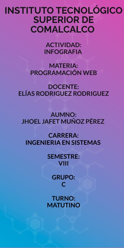 Infografía de programación web | Genially