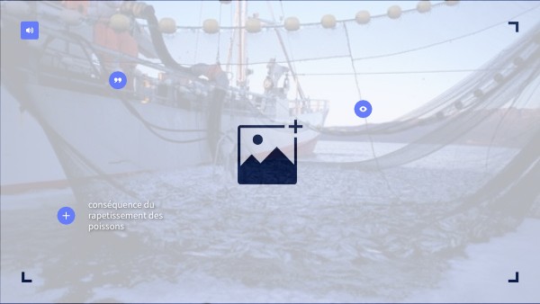 Image interactive essentiel