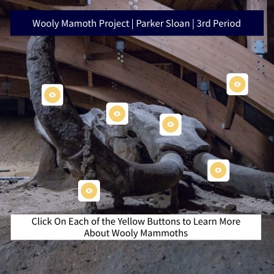 Parker Sloan Wooly Mammoth Project