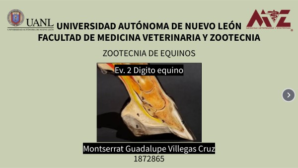 EV. 2 Digito equino - ZOOEQ - MVC