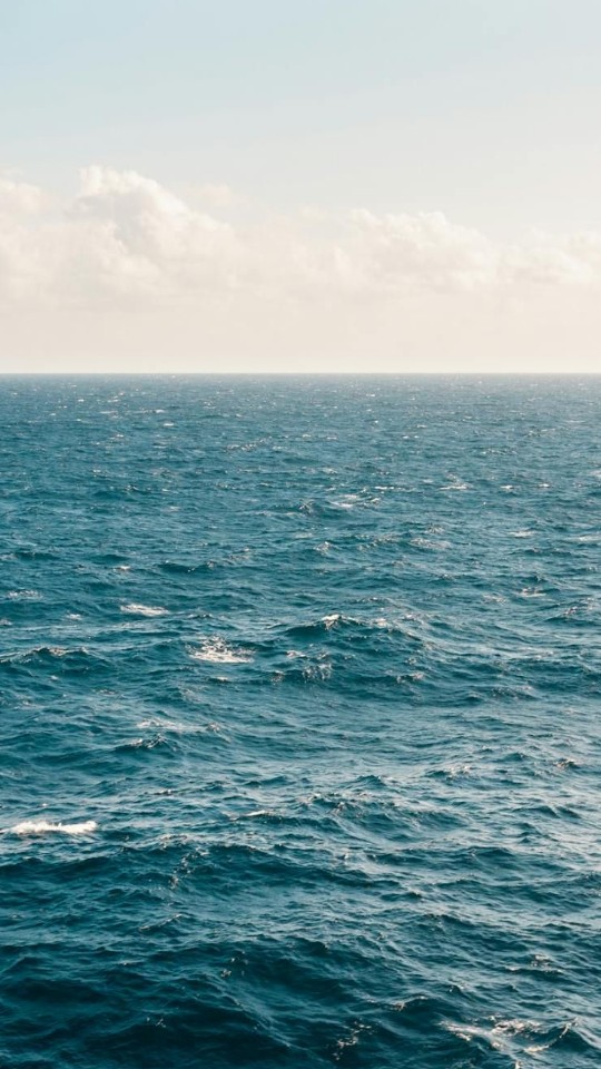 Il mare