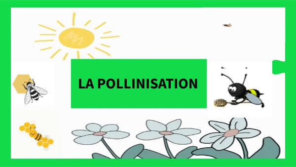 La pollinisation | Genially