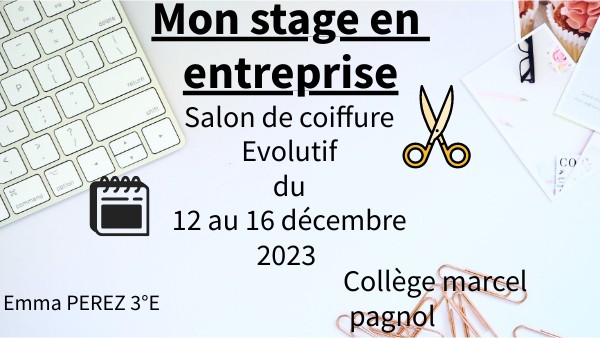 presentation de mon stage | Genially