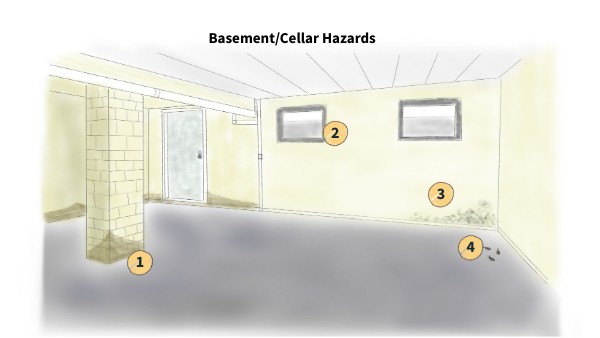 Basement/Cellar