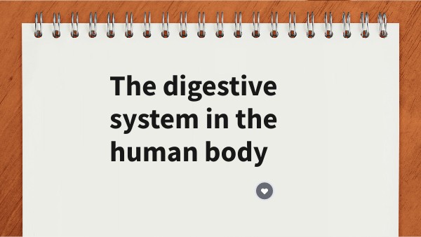 The Digestive System | Genially